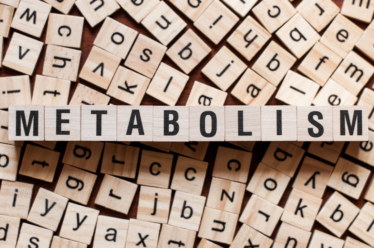 The Stages of Metabolism – UnveilYourBest